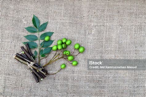 Neem 잎 과일 및 줄기는 황마 직물 배경에 있습니다 약용 Neem 씨앗 잎 동종 요법을위한 가지 아유르베다 전통 원료