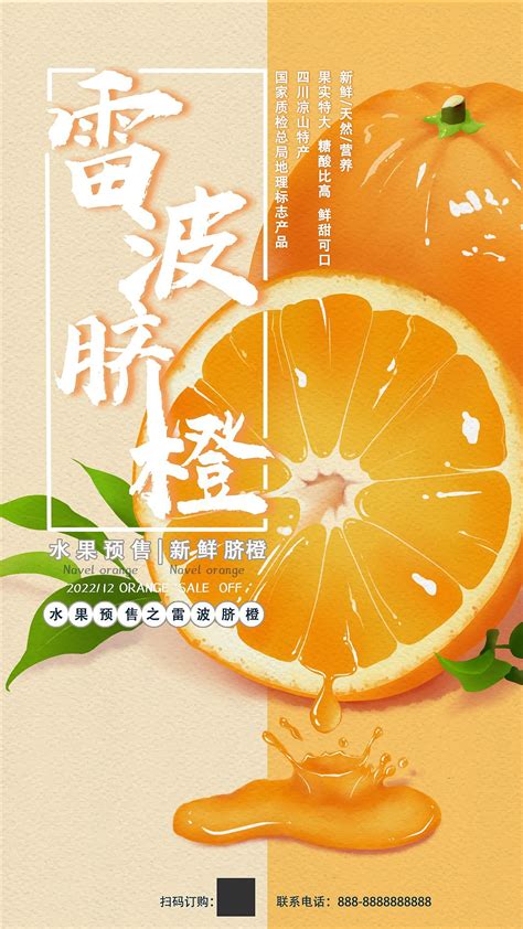 四川凉山雷波脐橙预售海报设计蓝水瓶 站酷zcool