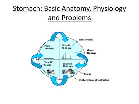 Hydrodynamically Balanced Systems Pptx