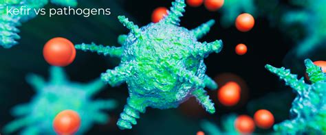 Kefir Vs Pathogens The Fighter Power Of Probiotics Numesa