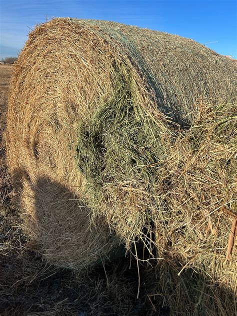 Hay For Sale Livestock Edmonton Kijiji