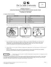 Understanding Root Systems Primary Secondary Growth In Plants Course Hero