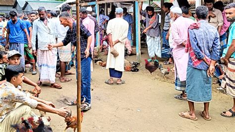 পাইকার মুক্ত গৃহস্তের উন্নত প্রজাতির দেশি হাঁস মুরগির হাট। নন্নী বাজার ২০২৩ Youtube