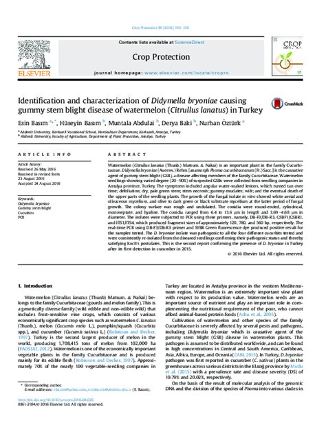 Pdf Identification And Characterization Of Didymella Bryoniae Causing