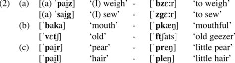 formalising phonological perception the role of voicing assimilation