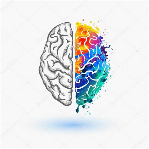 Hemisferio Izquierdo Y Derecho Del Cerebro Humano 2024