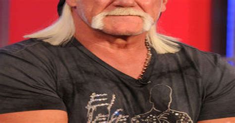 Wrestler Hulk Hogan In Sex Tape Daily Star