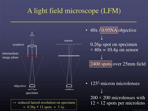 Ppt Light Field Microscopy Powerpoint Presentation Free Download Id248069