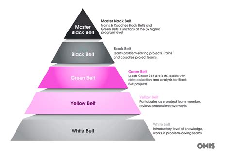 Mastering Efficiency And Quality Unveiling The Power Of Lean Six Sigma By Omis B Medium