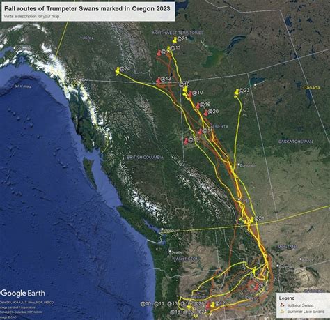 Tracking Swans Trumpeter Swan Society