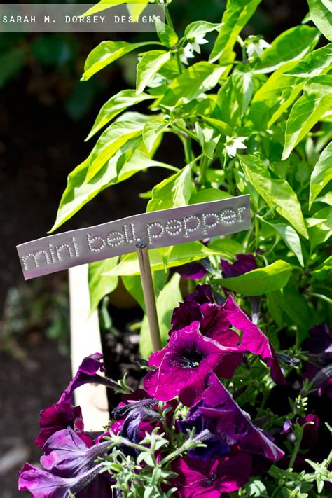 Easy DIY Cedar Planter Dorsey Designs