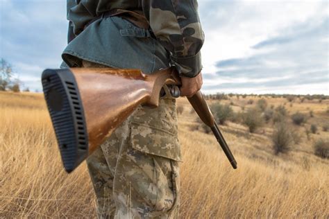Объявлена повторная жеребьевка на добычу охотничьих ресурсов в Якутии Новости Якутии Якутия Инфо