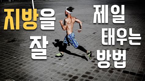 지방을 잘 태우는 방법💪 Youtube
