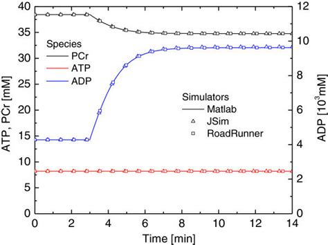 Simulation Results For Species Pcr Atp And Adp In 34 Download Scientific Diagram