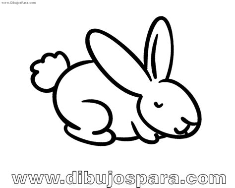 Imagenes De Conejos Para Colorear