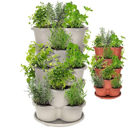 Buy Amazing Creationstackable Er Vertical Garden Er Strawberry Er