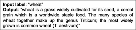 An Example Of Text Extracted From An Input Label Download Scientific