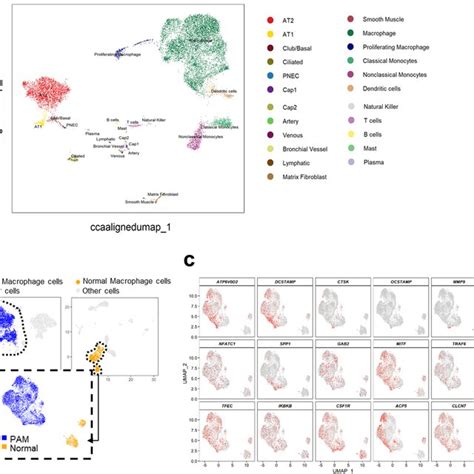 Integrated Single Cell Rna Seq Analysis Identifies Diverse Cell