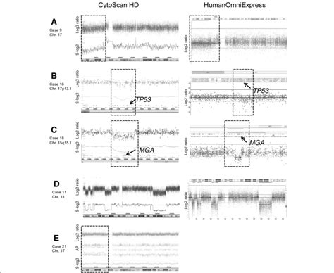 Examples Of Microarray Based Genomic Profiles Microarray Based Genomic