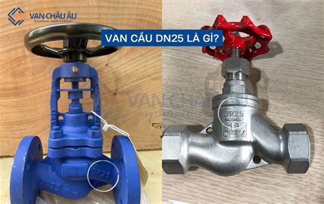 Van Cầu Dn25 Phi 34mm Top Model Chất Lượng Nên Dùng