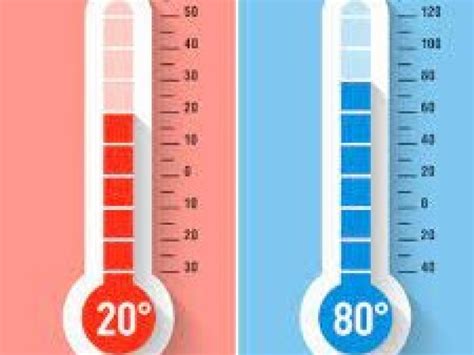 Cómo regula nuestro cuerpo su temperatura Noticias Importantes