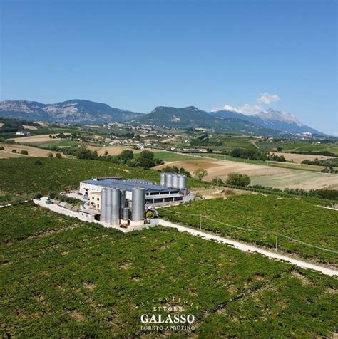 Wine Prague Ettore Galasso