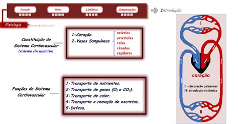 INFORMÁTICA EDUCATIVA NA ESCOLA FRANCISCO ZILLI ATIVIDADES SOBRE O