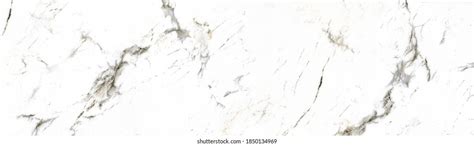 스타투아리오 대리석 질감 배경 천연 카라라 스톡 사진 1850127373 Shutterstock