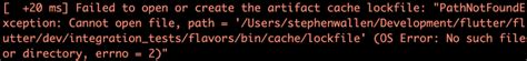 Tool Debugging In VSCode Fails On Artifact Cache Lockfile Issue