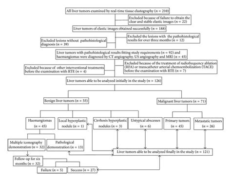 The Flow Diagram Gives An Overview Of The Study Download Scientific
