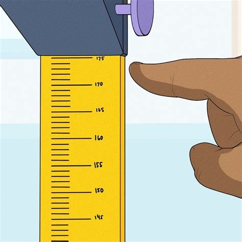 Anime Character Heights Dataset Kaggle