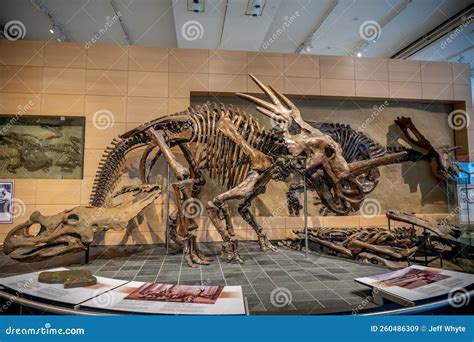 Canadian Museum Of Nature Ottawa Editorial Stock Image Image Of