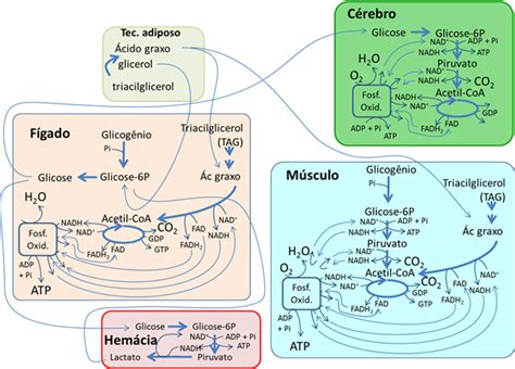 Bio Química Ufal Aula 12