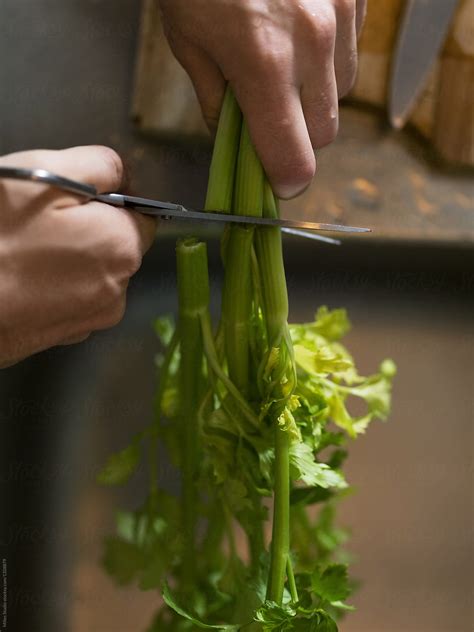 Man Cutting The Green By Stocksy Contributor Milles Studio Stocksy