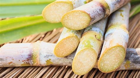 Thailand Govt Approves The 880 Bahtton Initial Cane Pricing Policy