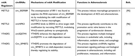 Recent Advances In The Mutual Regulation Of M6a Modification And Non C Ijgm