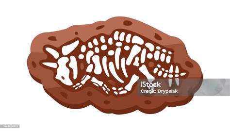 트리케라톱스 화석 골격 트리케라톱스 화석 뼈 공룡 골격 두개골이 있는 공룡 뼈 고생물학 및 고고학 개체 그룹에 대한 스톡 벡터 아트 및 기타 이미지 Istock