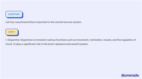 Solved List Four Neurotransmitters Important In The Central Nervous System