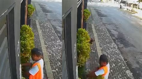 ERA SÓ O QUE FALTAVA homem é flagrado furtando mudas de plantas em