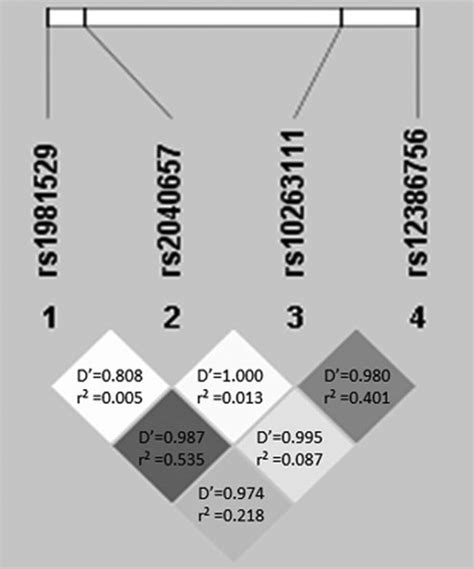 Linkage Disequilibrium Analysis Of These Snps Download Scientific