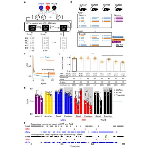 Pupil Dynamics Based Sleep Stage Labeling Using A Deep Neural Network