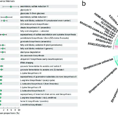 Functional Metabolic Pathways Analysis For The Differentially Abundant Download Scientific
