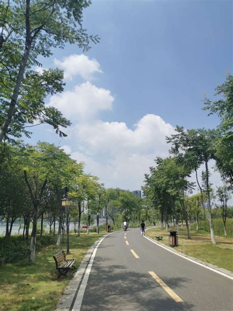 案例展示 湖北紫荆花木科技有限公司
