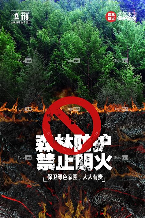 大气简约森林防火海报设计素材模板下载 图巨人