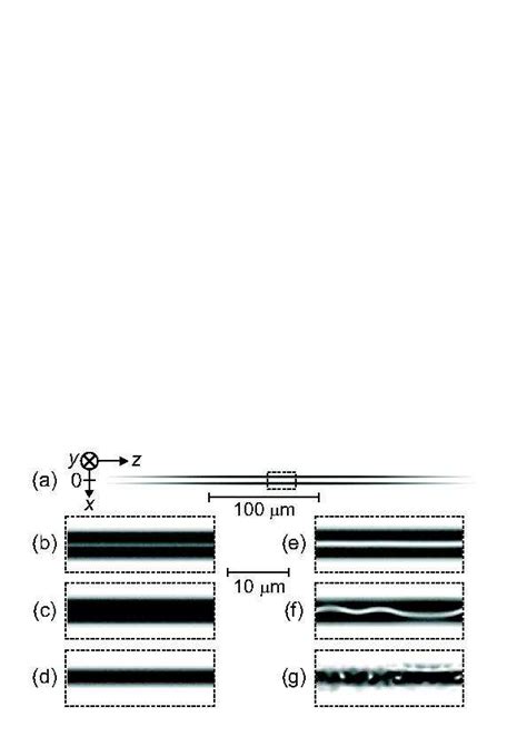 A Atom Density Profile Of The Two Becs In The Y 0 Plane Axes