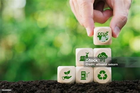 Ccus Carbon Capture Utilization And Storage Concepthand Holding Wood Block With Ccus Word And
