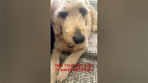 Omg Soo Cuteee Youtube