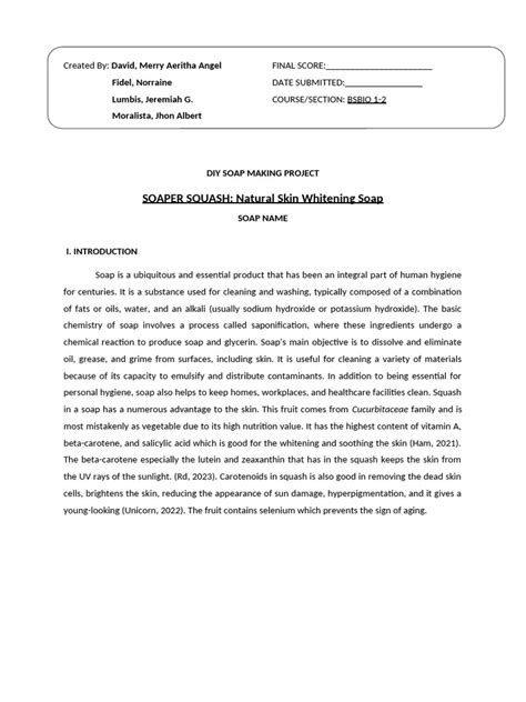 Diy Soap Making Project Updated Ver Pdf Hydroxide Soap