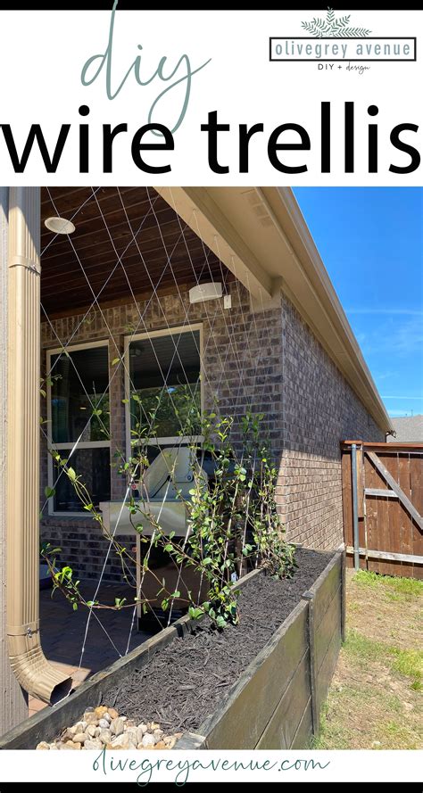 Easy Diy Wire Trellis Wall Wire Trellis Wall Trellis Outdoor Trellis