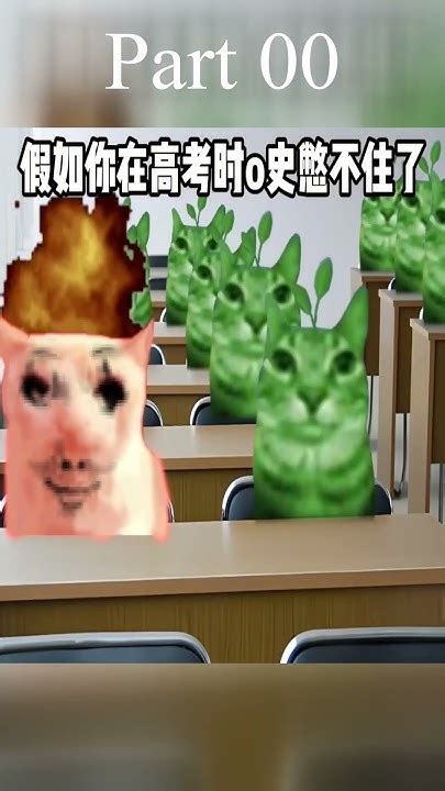 假如你在高考时o史憋不住了 高考加油 猫meme 新鲜哥 000 Youtube
